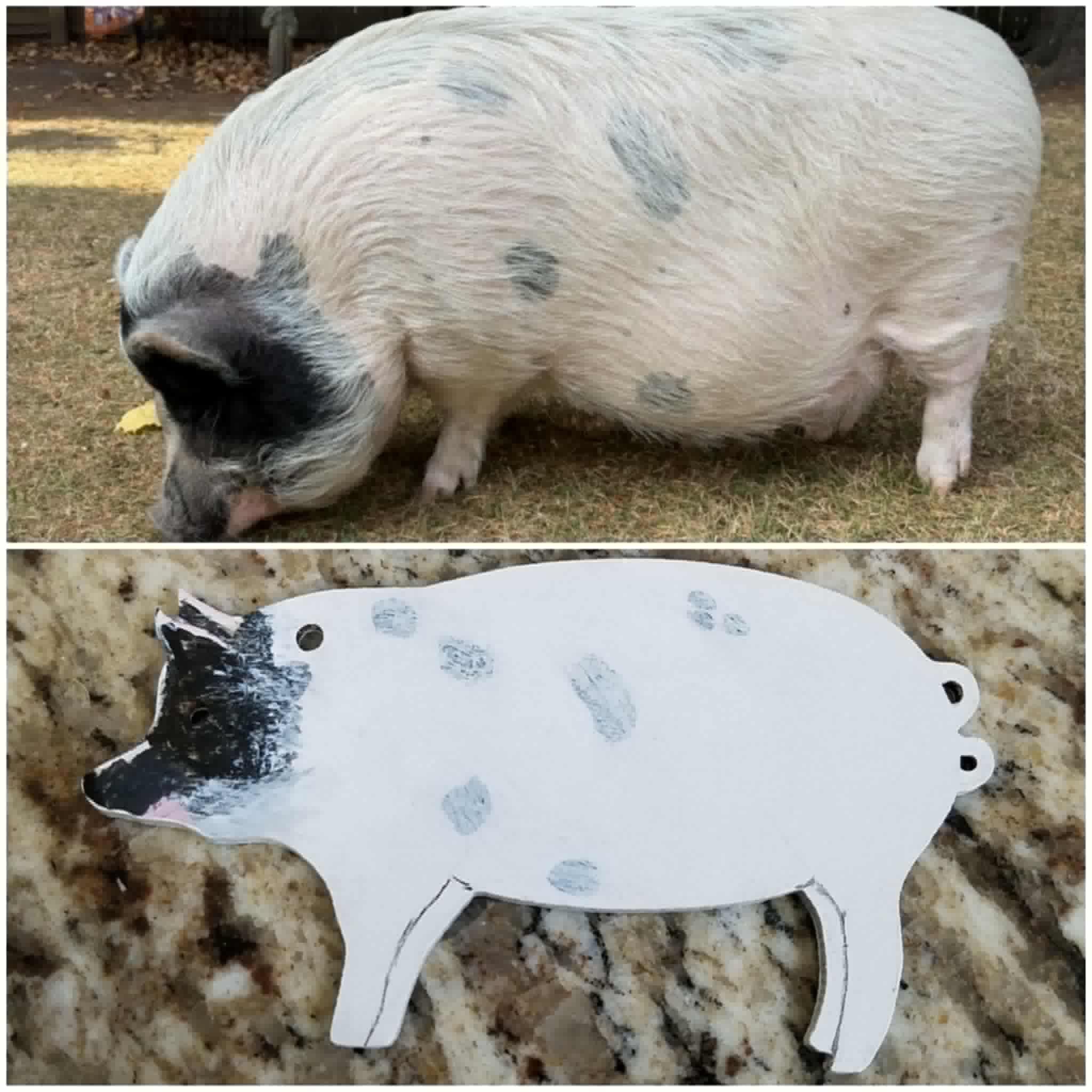 Custom painted wood piggy – Operation Angels Store